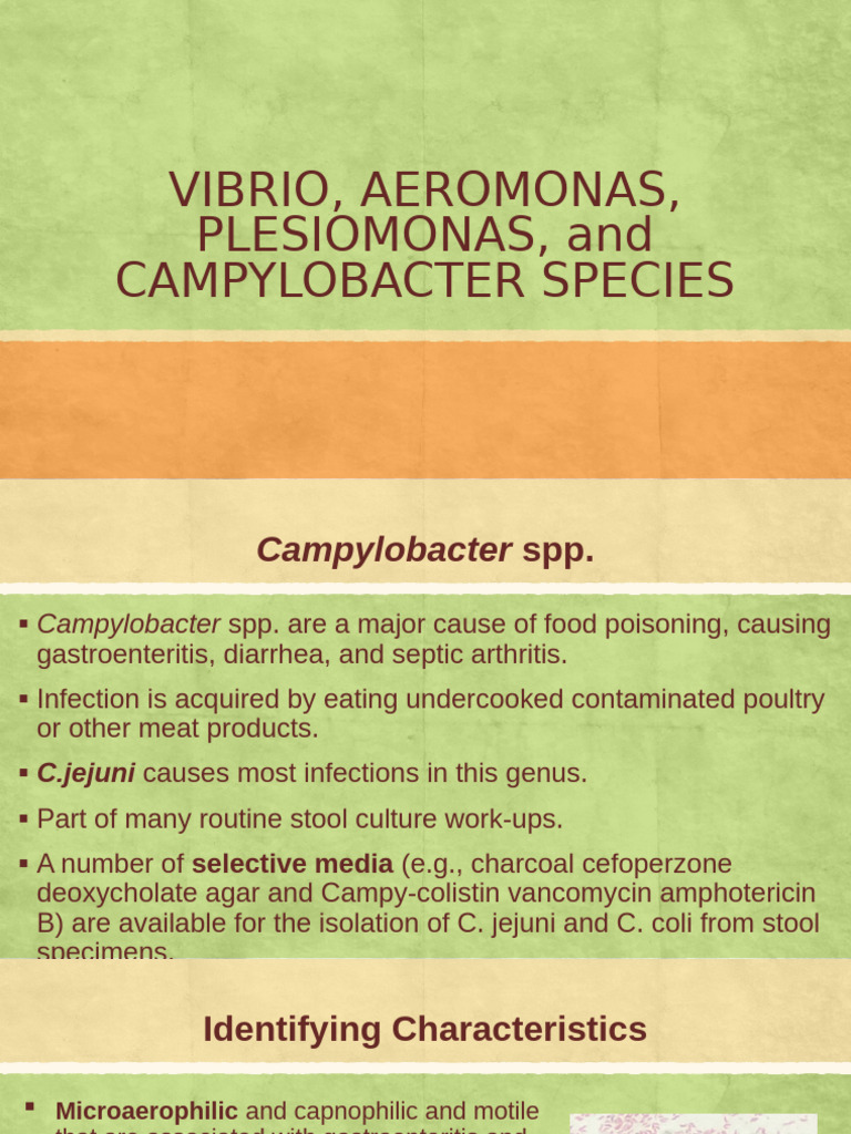 Ix. Vibrio Aeromonas Plesiomonas and Campylobacter | PDF | Cholera | Microbiology