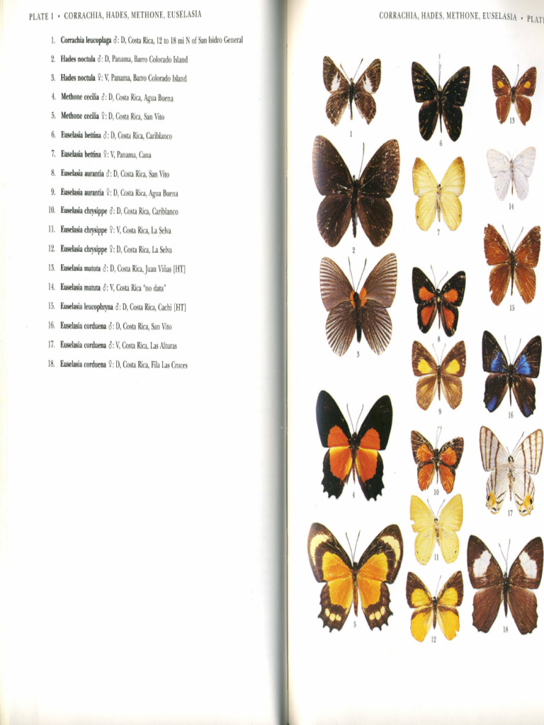 Butterflies of CR Vol.2 Figs | PDF