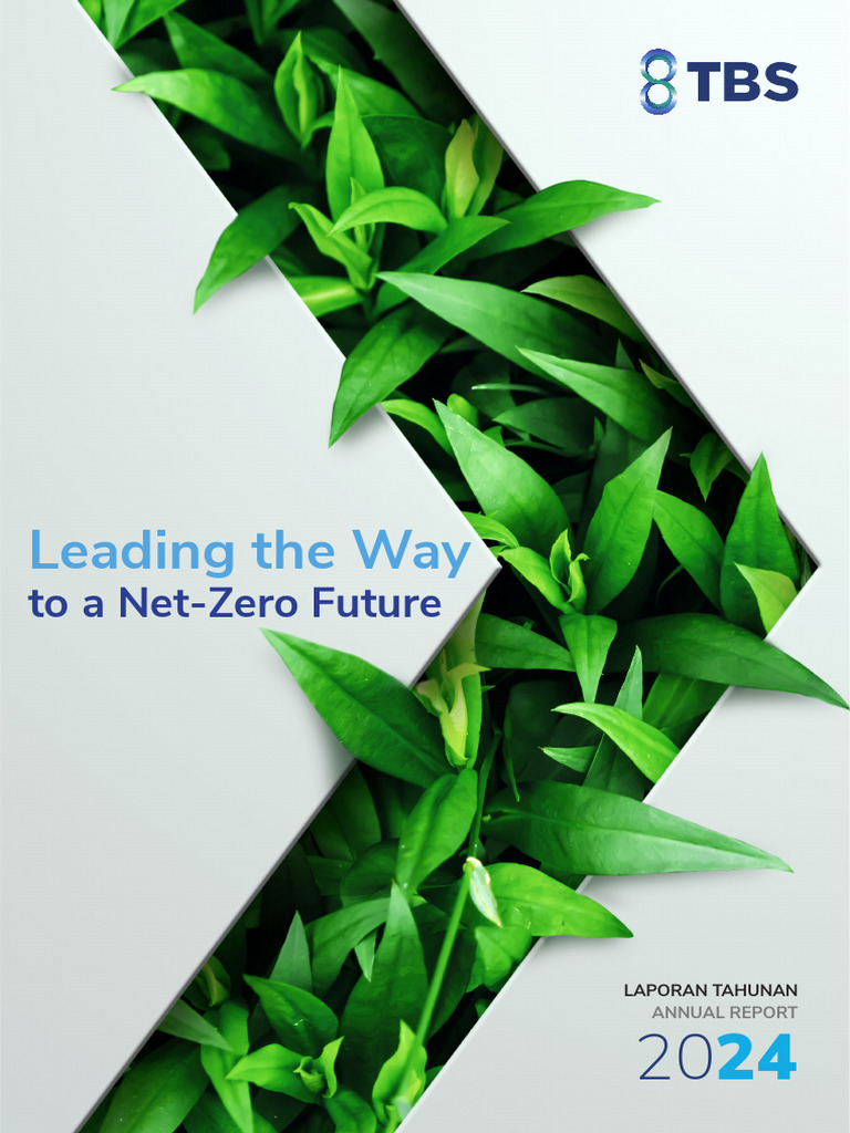 Fin Annual Report Tbs 2024 | PDF