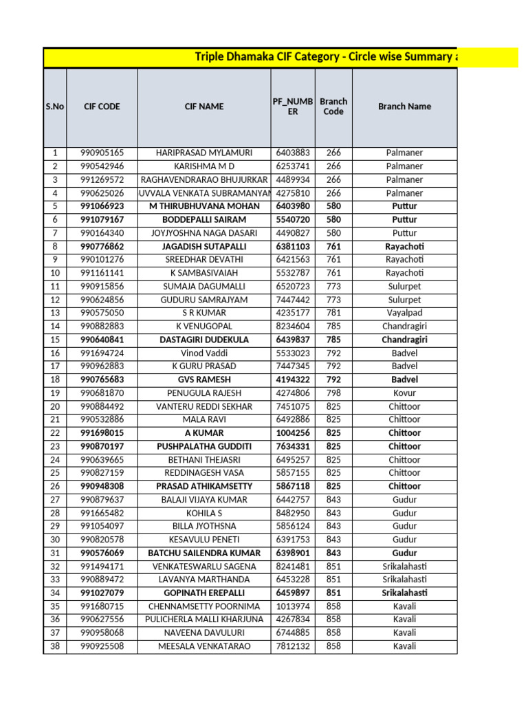 Triple Dhamaka CIF Summary by Circle | PDF