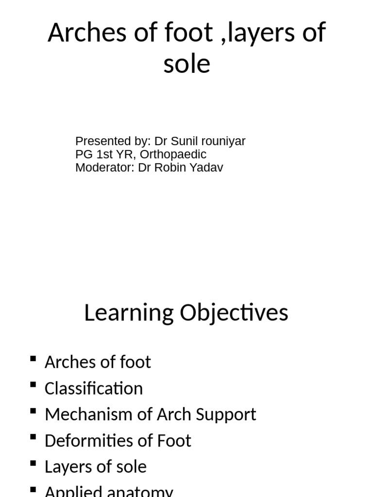 Arch of Foot and Sole PPT Revised | PDF | Foot | Human Anatomy