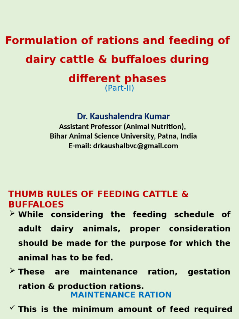 Ration Formulation 2 | PDF | Dairy Cattle | Cattle
