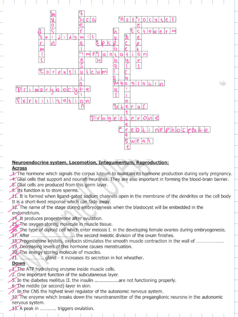 Crossword Handout 3 | PDF