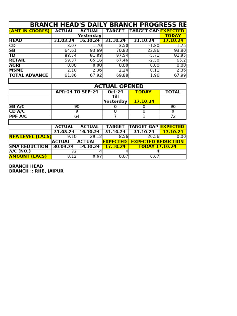 Daily Progress Reporting Format | PDF