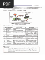 Life Processes Class 10th | PDF