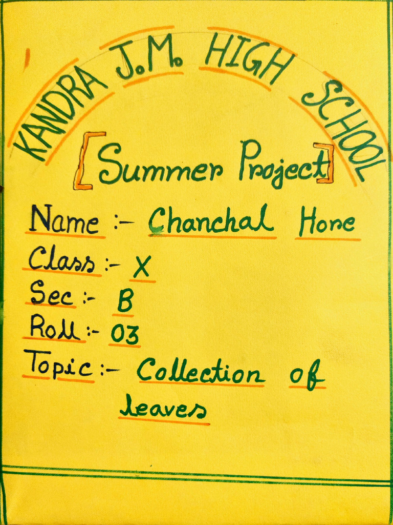 Summer Project - Class X - 2025 | PDF