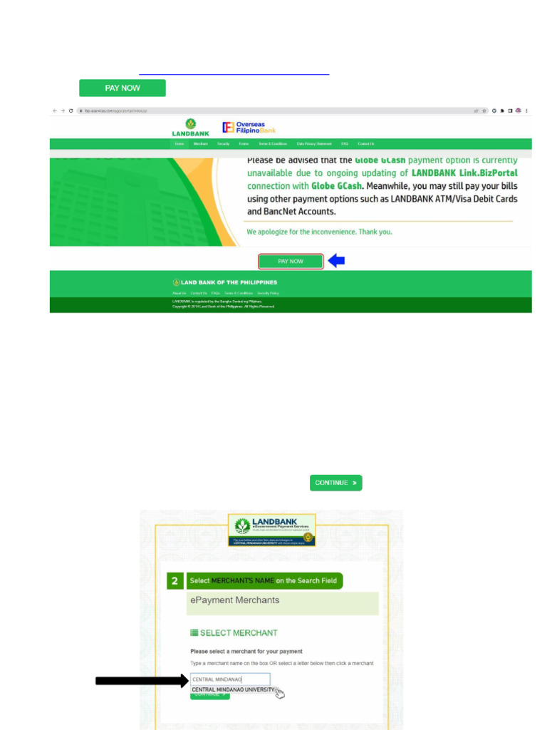 Online Payment Steps - 1748324327 | PDF