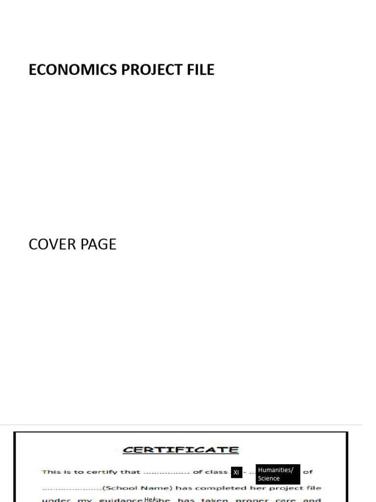 Project File Xi Economics | PDF