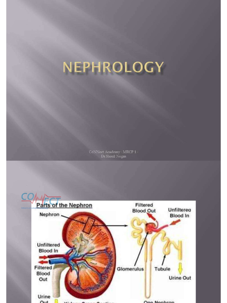 Nephro | PDF