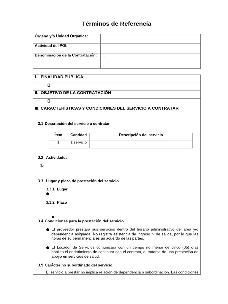TDR - Formato Administrativo | PDF | Multa (pena)