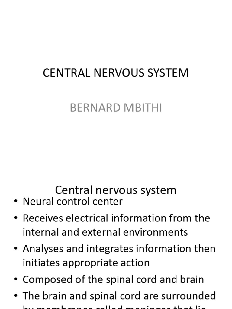 Central Nervous System - Notes | PDF | Central Nervous System | Motor ...