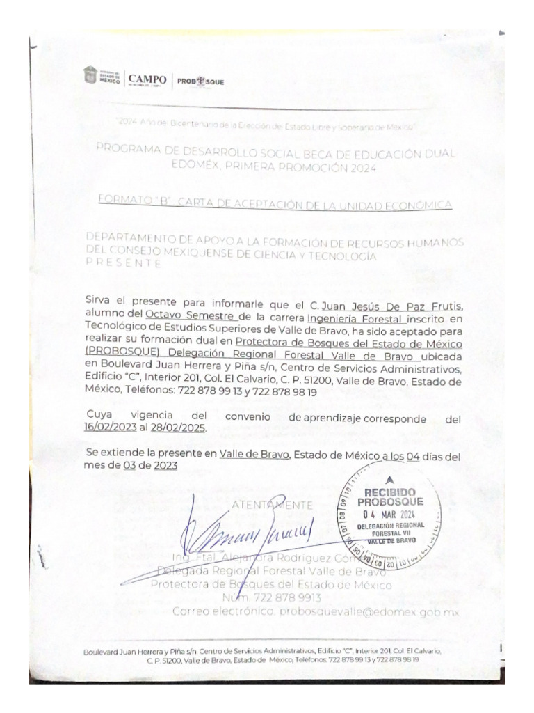 Carta Formato B | PDF