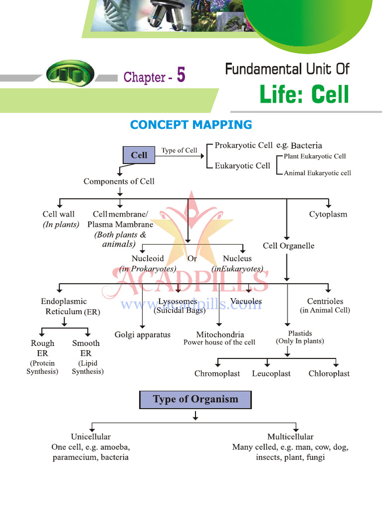 The Fundamental Unit of Life Notes With Important Questions - 1 ...