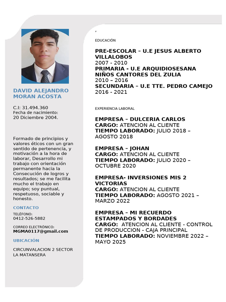 Perfil Profesional de David Morán Acosta | PDF