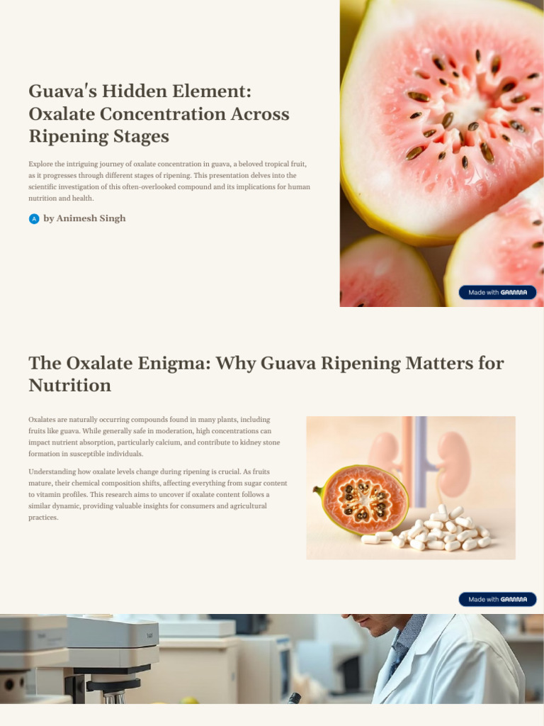 Oxalate Levels in Guava Ripening Stages | PDF