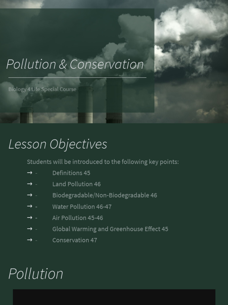 Pollution Summarized | PDF | Air Pollution | Pollution