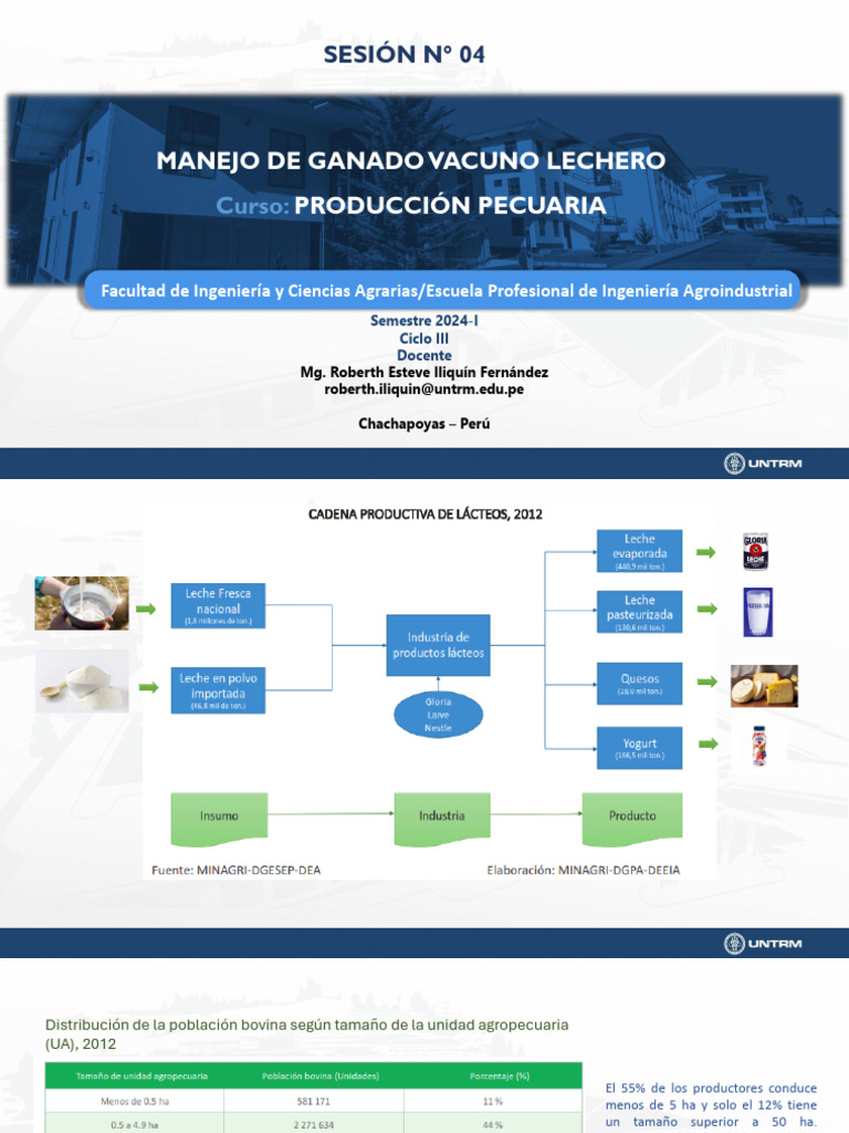 Manejo de Ganado Vacuno Lechero | PDF | Vacas | Leche