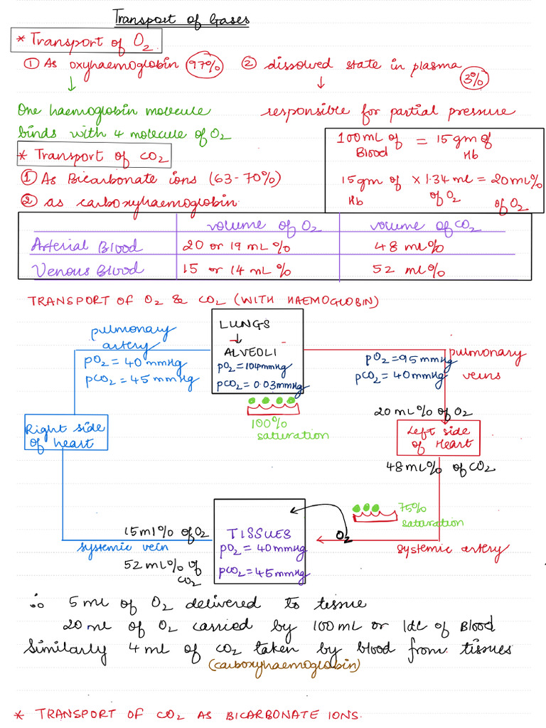 Transport of Respiratory Gases | PDF