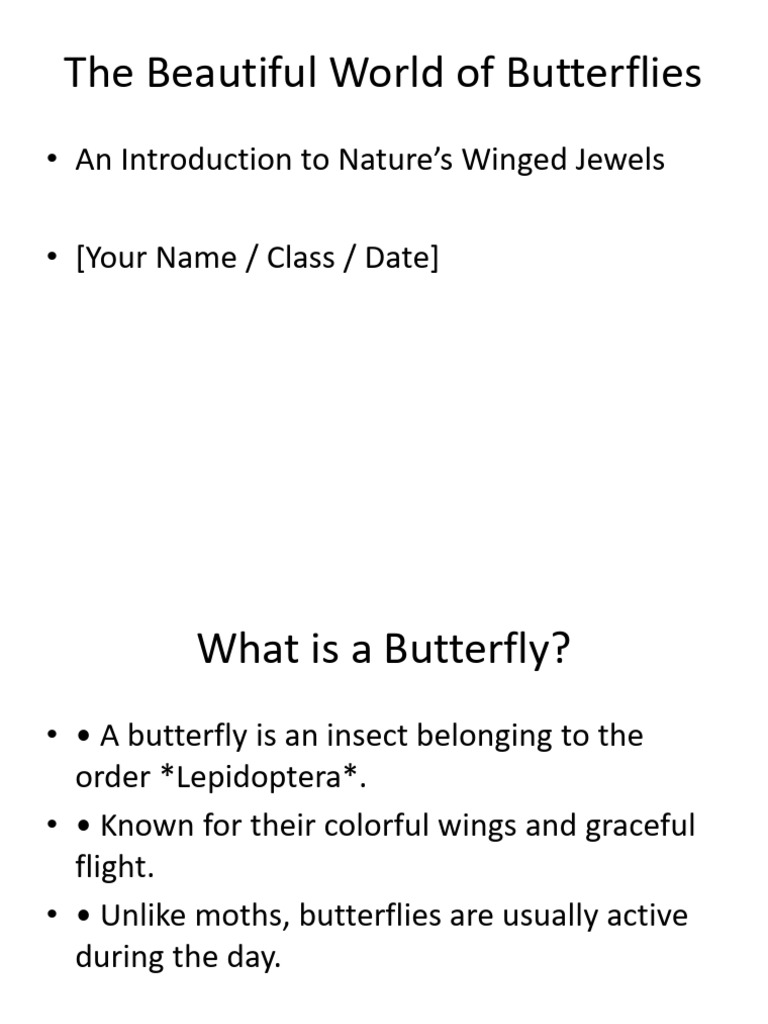 Butterfly Presentation 1 2 | PDF