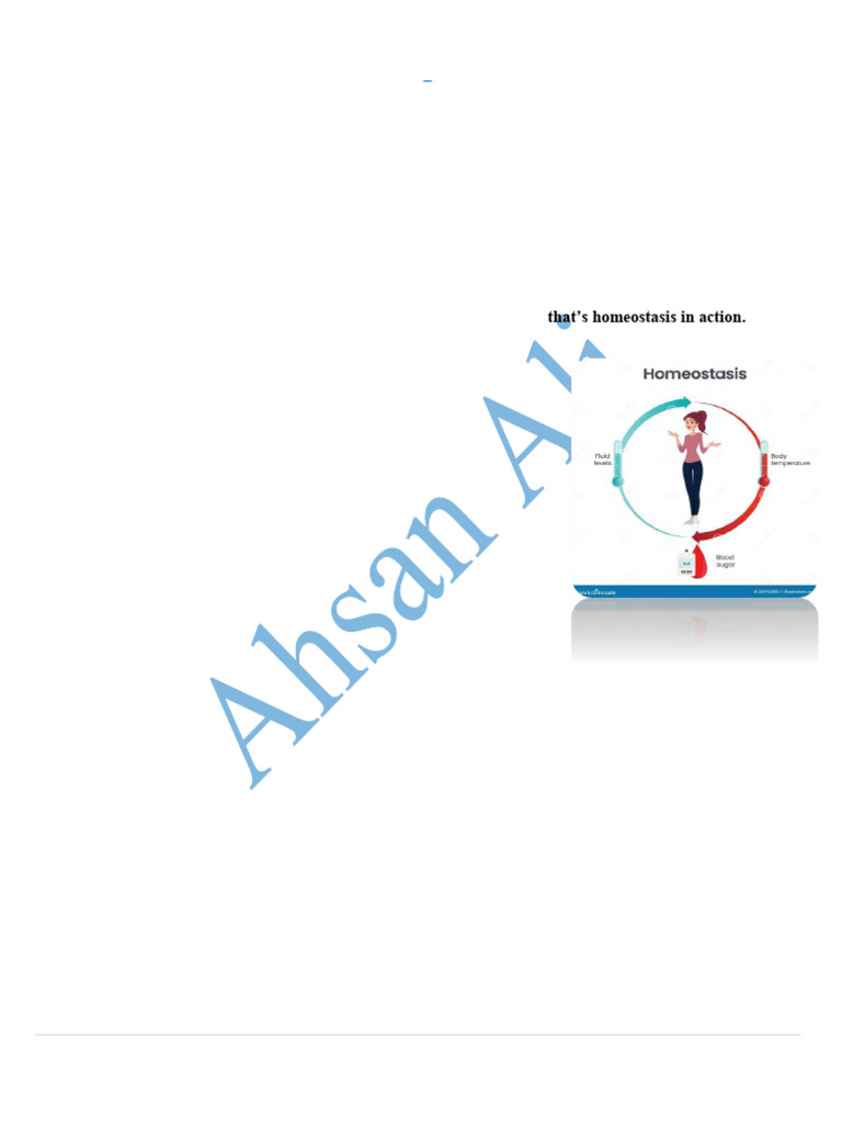 Homeostasis and Feedback Mechanisms Explained | PDF | Homeostasis ...
