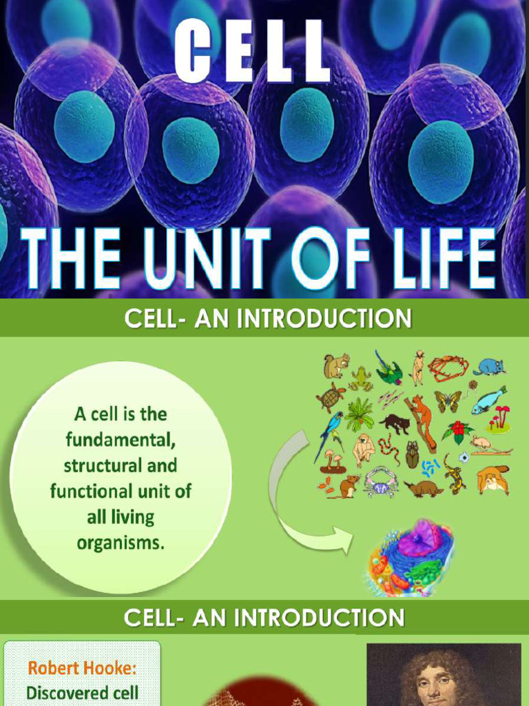 Cell Class 11 | PDF