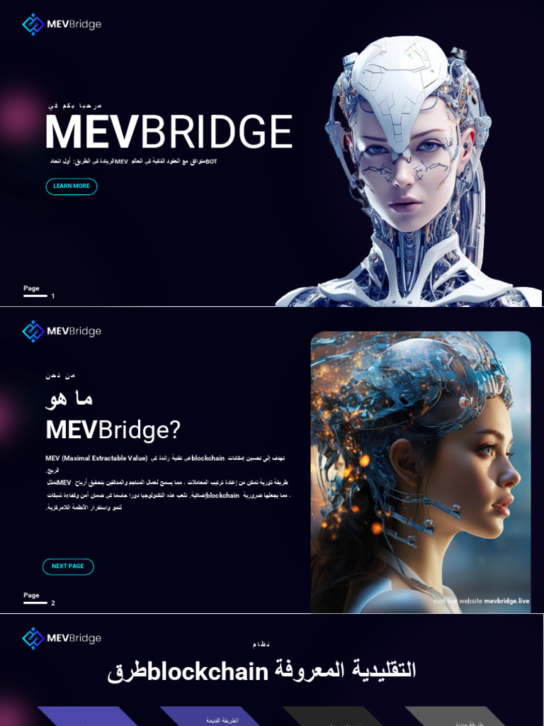 (Arab) Mevbridge Bot Technology | PDF