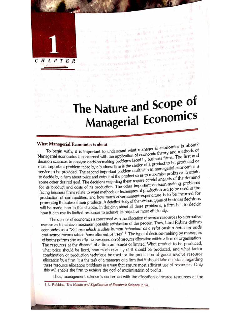 Managerial Economics | PDF
