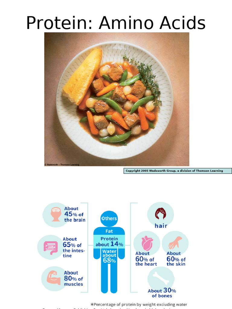 Amino Acids and Proteins Final | PDF | Proteins | Amino Acid