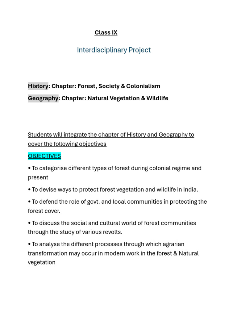 Class 9 Interdisciplinary Project | PDF