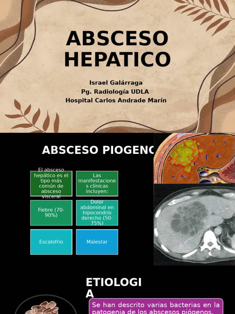 ABSCESO HEPATICO Hcam | PDF | Medicina CLINICA | Enfermedades y trastornos
