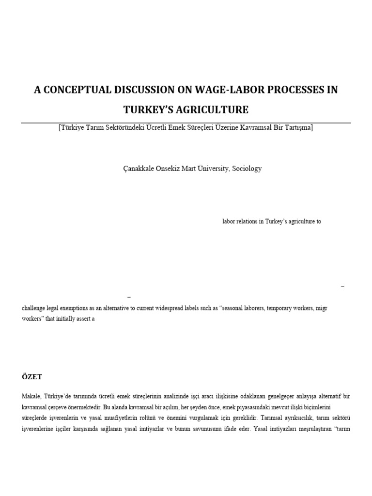 Elif Uyar Ethos | PDF | Employment | Minimum Wage