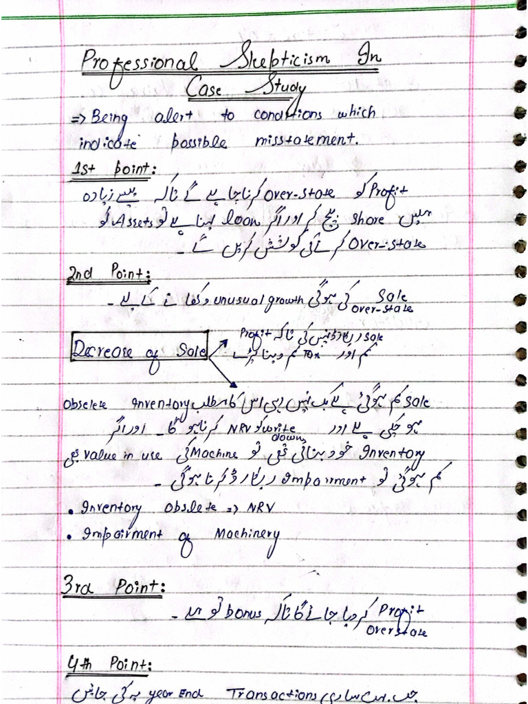 Professional Skepticism in Case Studies | PDF