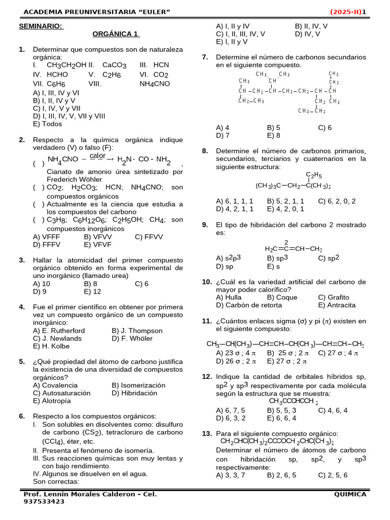 Practica Organica - Euler | PDF | Química | Química Orgánica