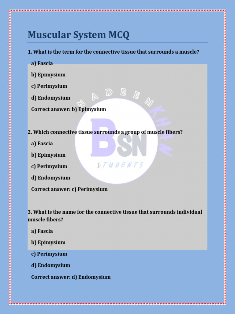 Muscular System MCQs and Answers | PDF | Human Leg | Foot