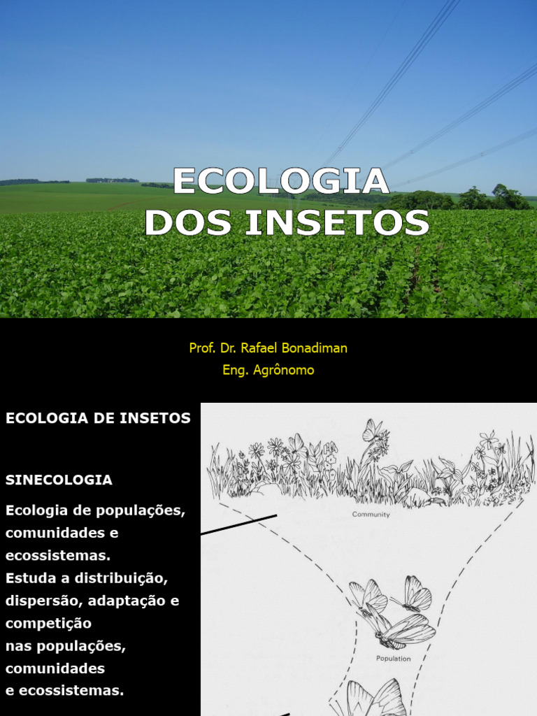Aula Ecologia e Sinecologia | PDF | População mundial | Ecologia