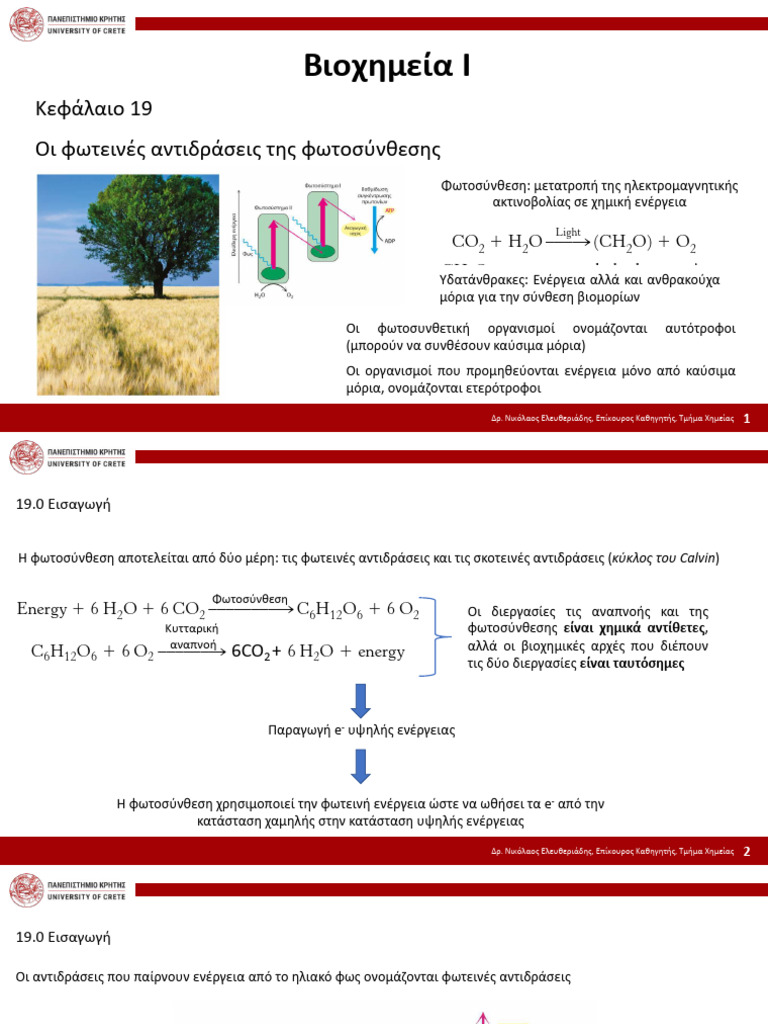 14 - Biochemistry - The Light Reactions of Photosynthesis ...