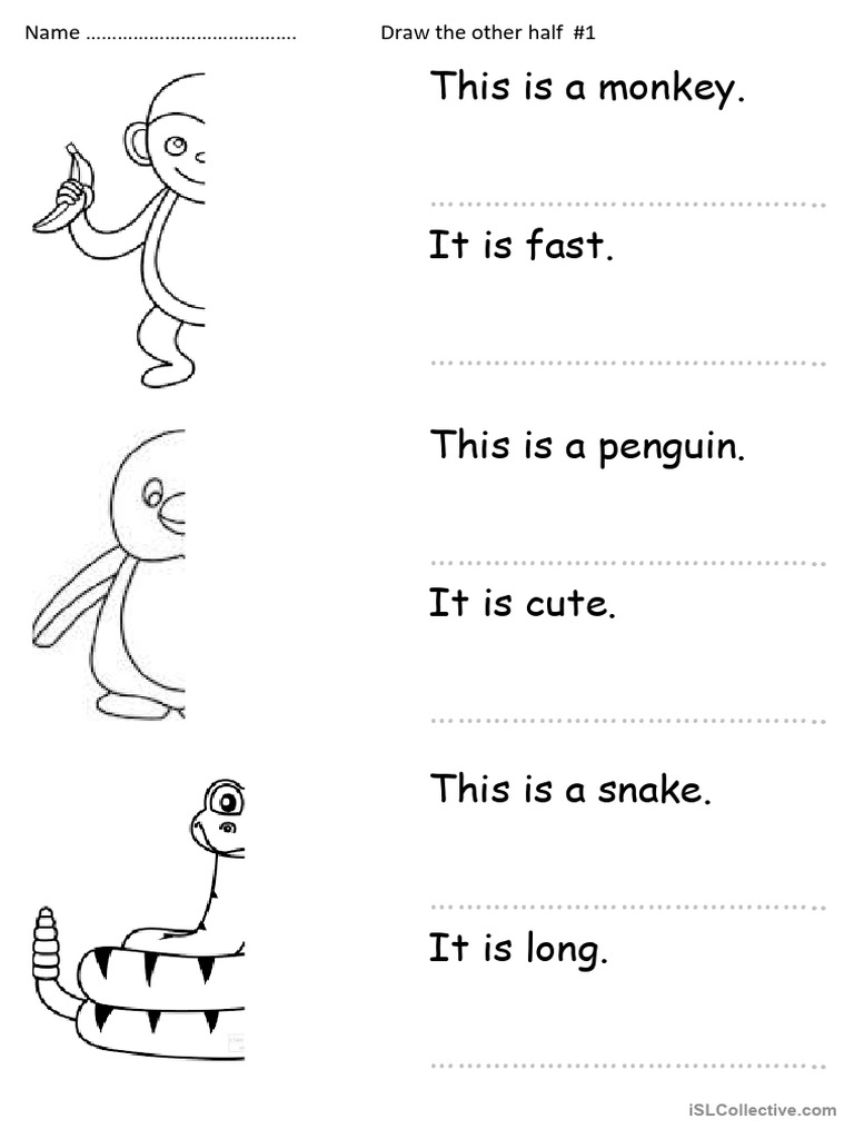 Draw The Other Half and Write Part 2 | PDF