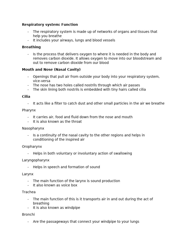 Respiratory System Grade 9 Reviewer For ExAM 2024 | PDF