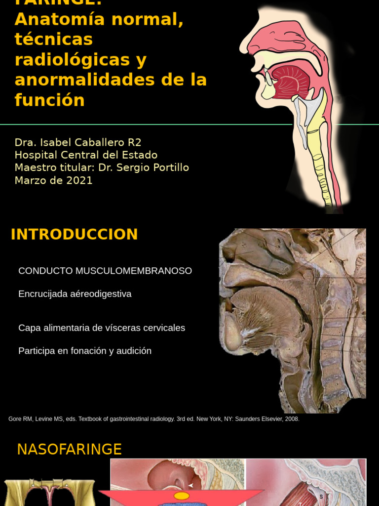 Faringe Anatomia y Funcion | PDF | Esófago | Anatomía humana