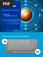 Electrolyte Repletion Guideline | PDF | Magnesium | Potassium