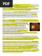 Tipos de Escotoma | PDF | Sistema visual | Enxaqueca