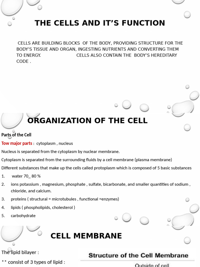 Lec 19 Cellular Physiology | PDF | Action Potential | Membrane Potential