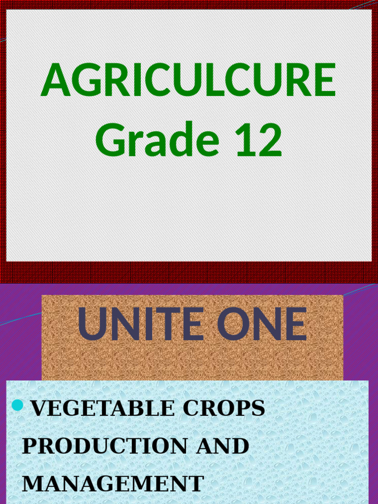 Grade 12 Agriculture Unit 1 | PDF | Vegetables | Soil