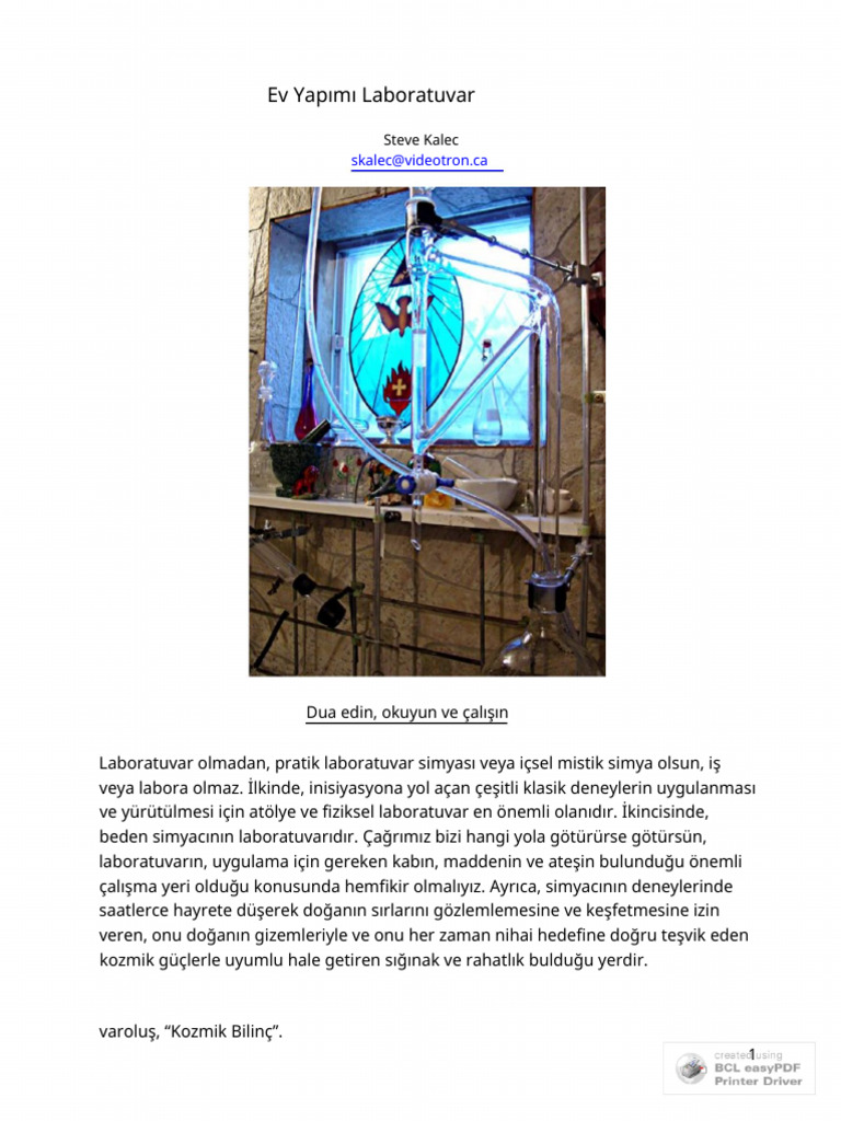 Steve Kalec The Home Made Laboratory | PDF