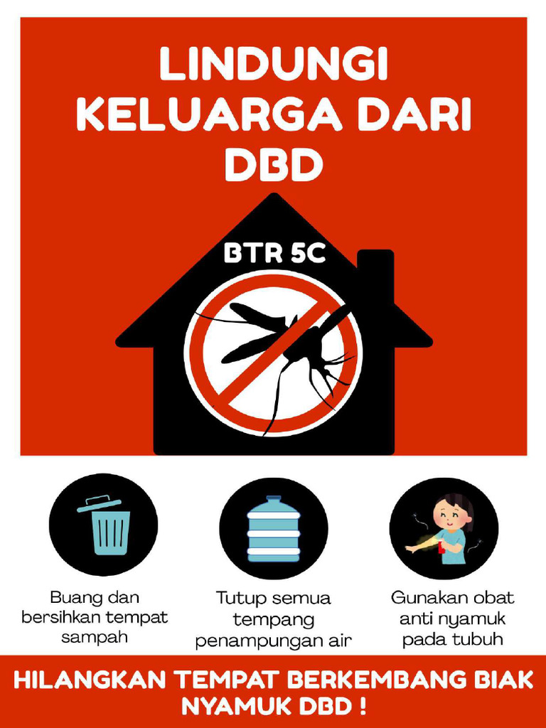 Pencegahan DBD | PDF