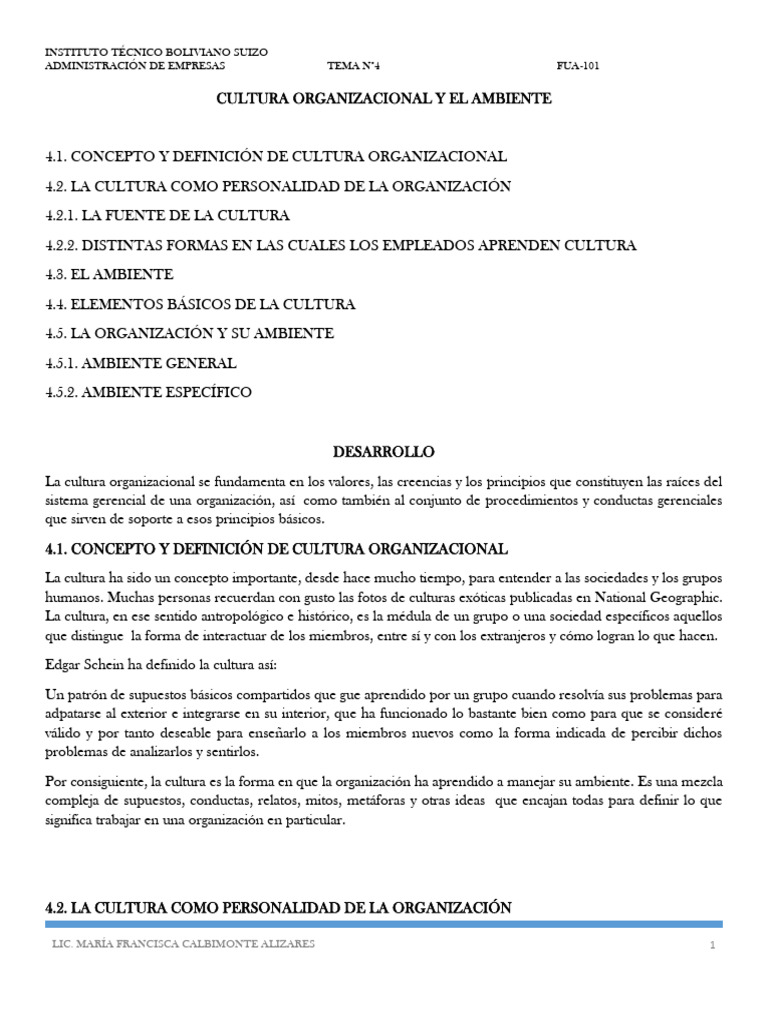 Tema #4 Cultura Organizacional y El Ambiente | PDF | Cultura organizacional | Economias