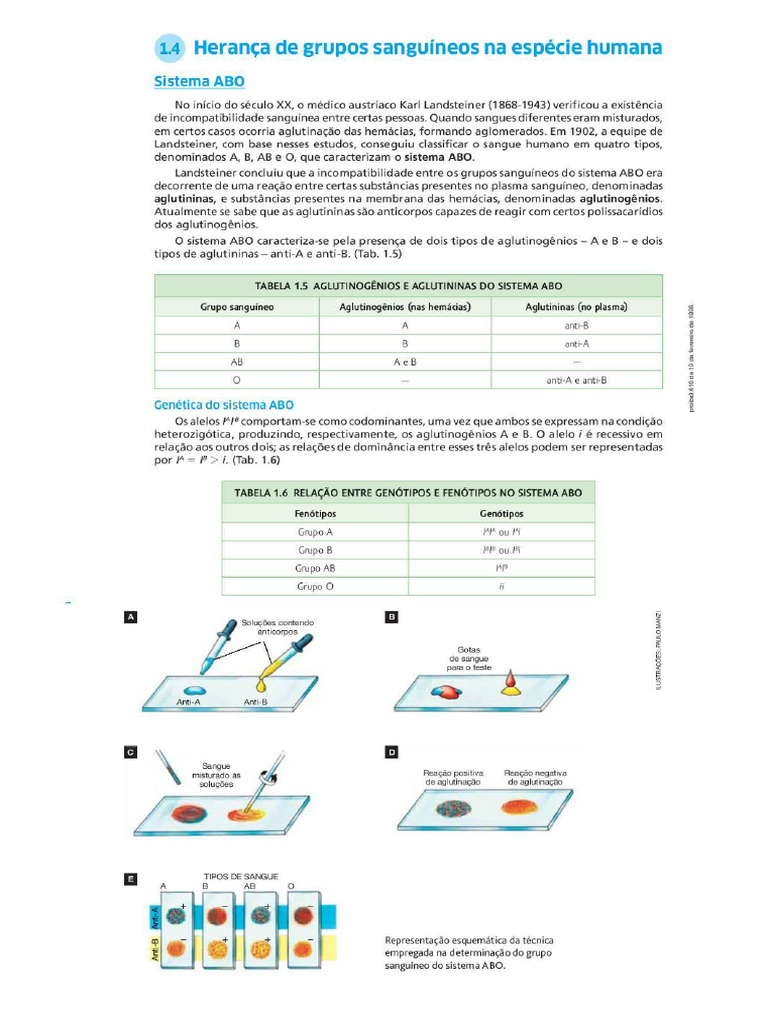 Aula Sistema Abo | PDF