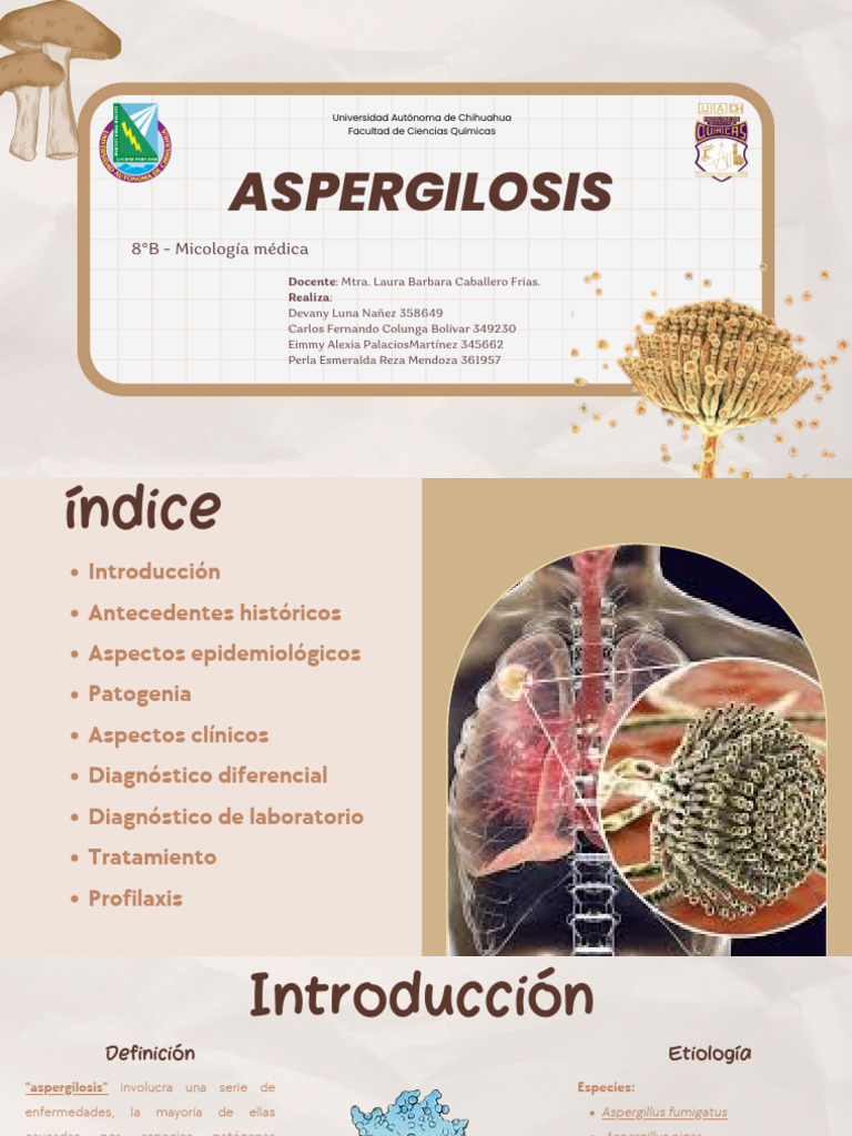 Aspergilosis PDF | PDF | Enfermedades y trastornos | Inmunología