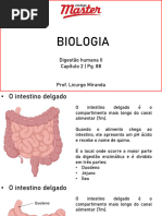 Diferença entre Quimo e Quilo | PDF | Digestão | Estômago