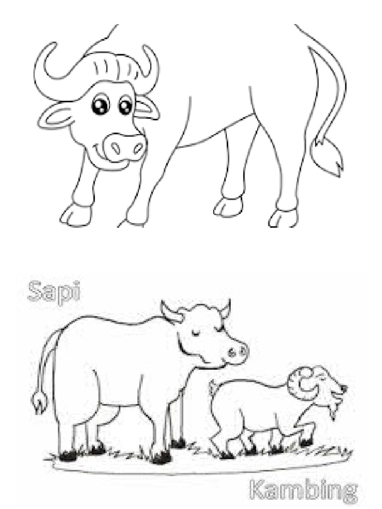 Kerbau Kambng Sapl | PDF